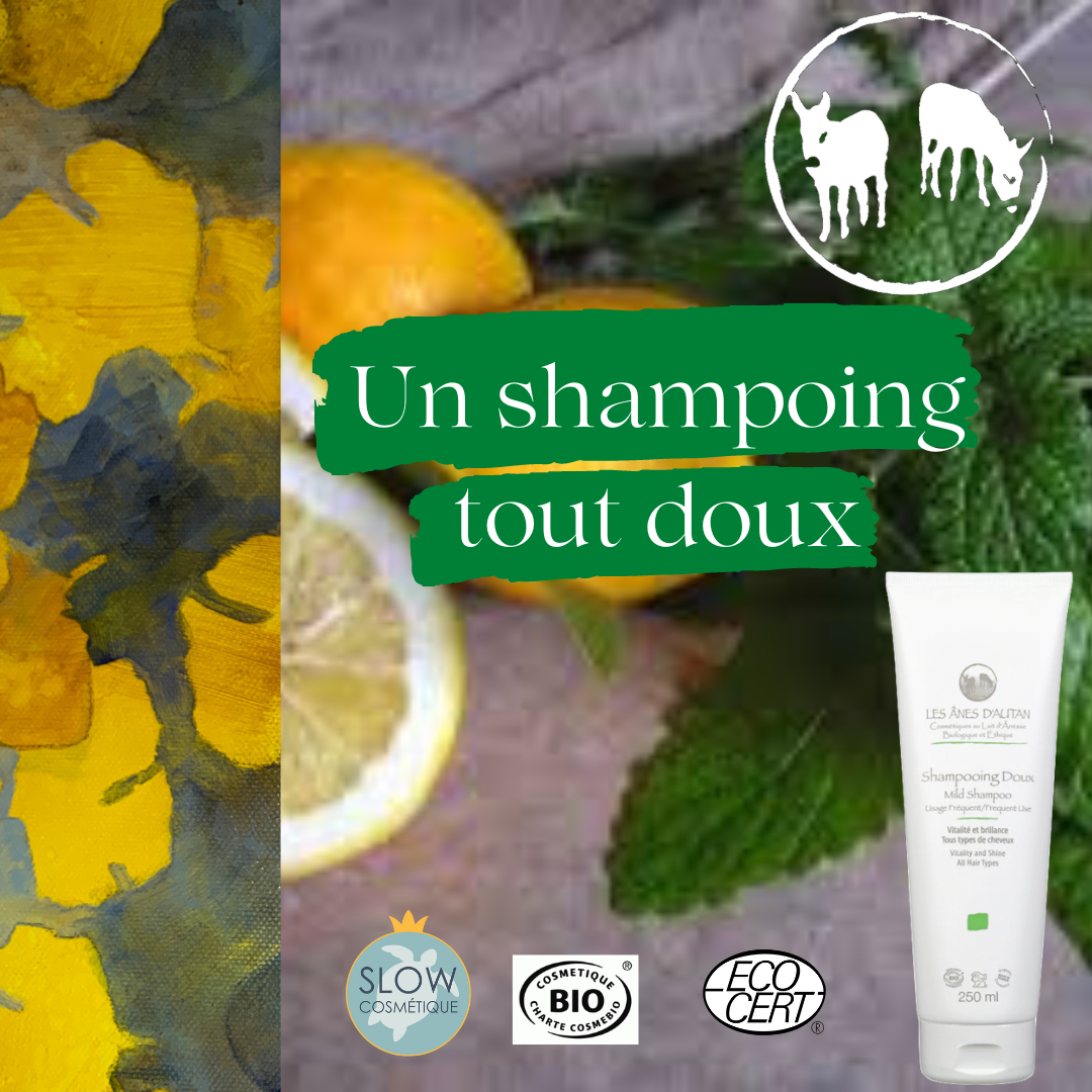 Shampoing Bio, Un produit naturel qui rendra à vos cheveux leur beauté